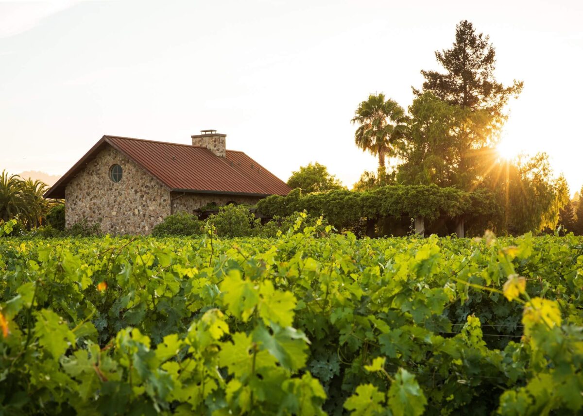 Heitz Wine Cellars – Napa Sonoma Insider