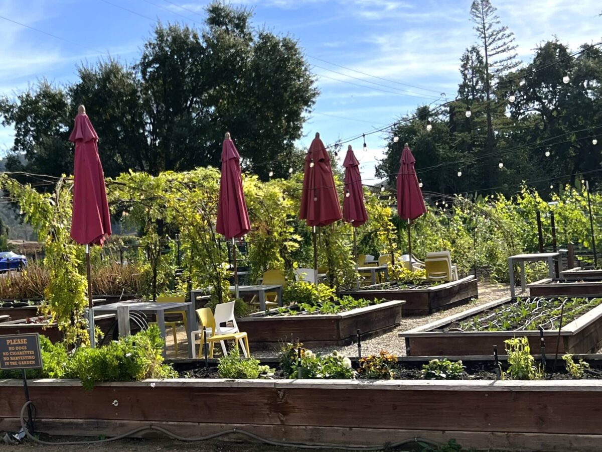 Mustards Grill’s Gracious Chef – Napa Sonoma Insider